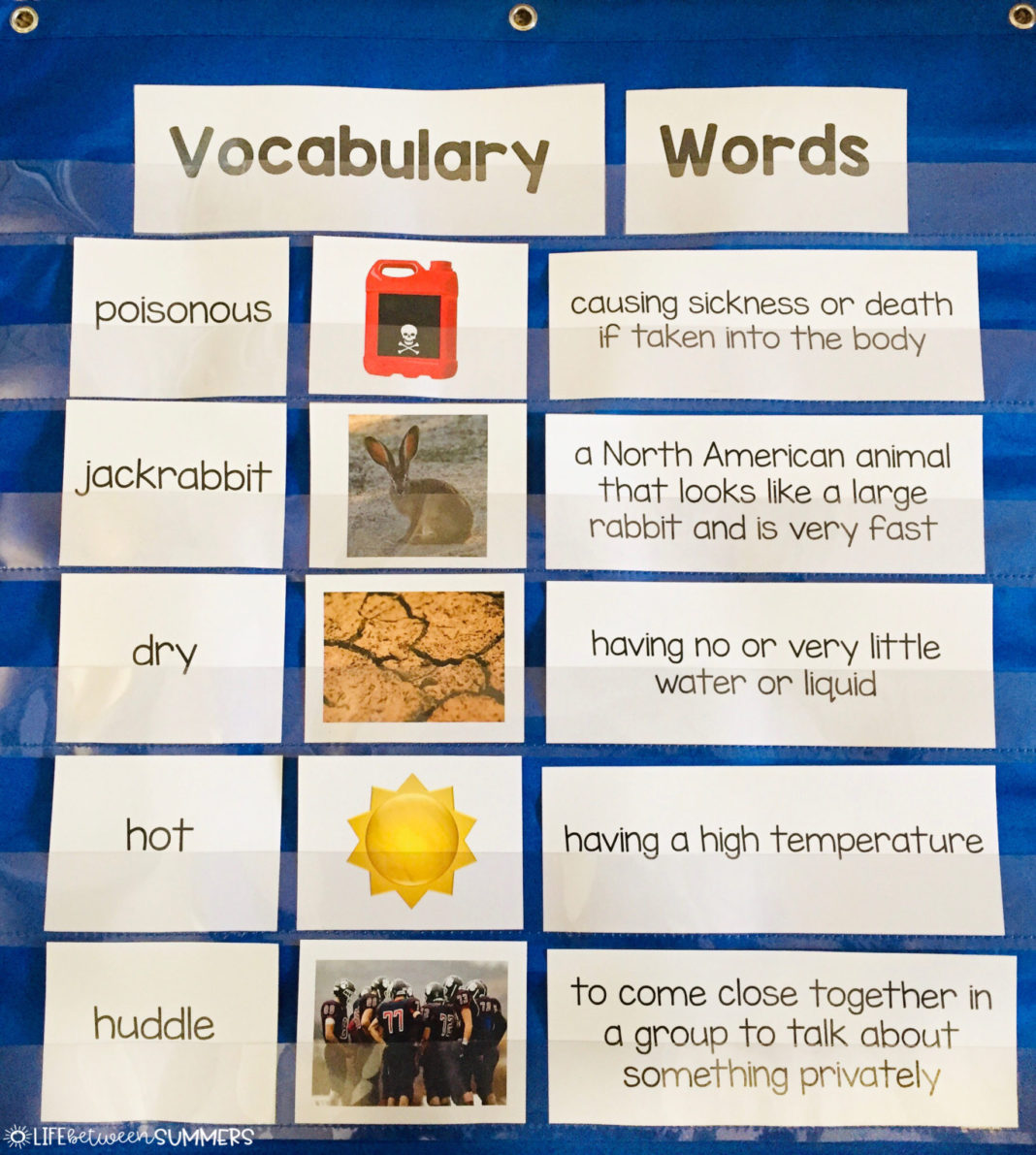 5 Engaging Strategies for Teaching Vocabulary Words - Life Between Summers