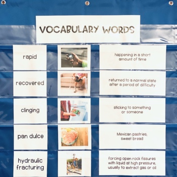 Benchmark Advance 4th Grade Vocabulary Word, Picture & Definition Cards ...