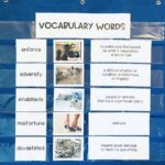 Benchmark Advance Vocabulary Cards 4th Grade Bundle - Life Between Summers