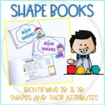 2D and 3D Shape Books - Life Between Summers