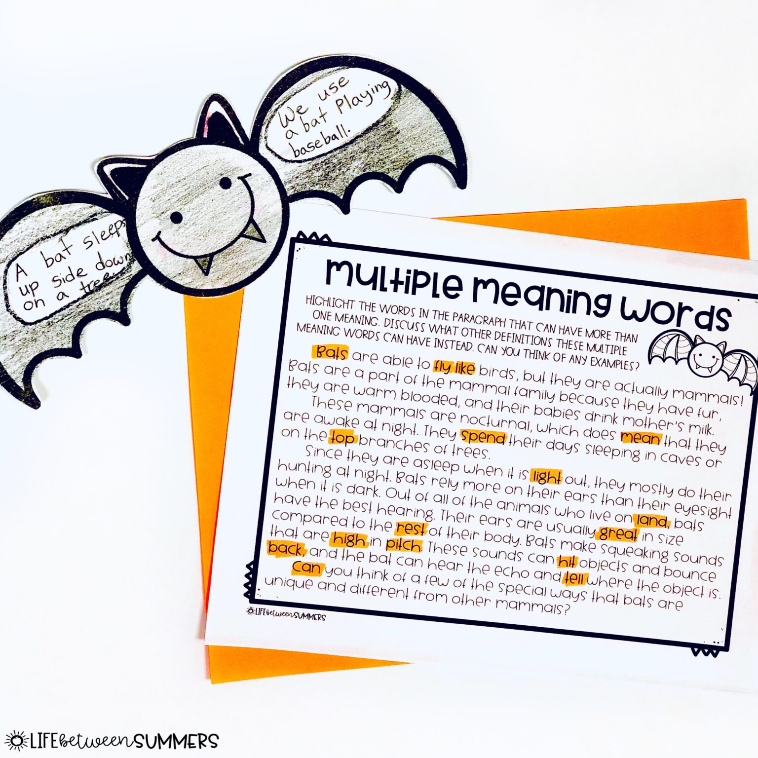 5 Engaging Multiple Meaning Word Activities - Life Between Summers